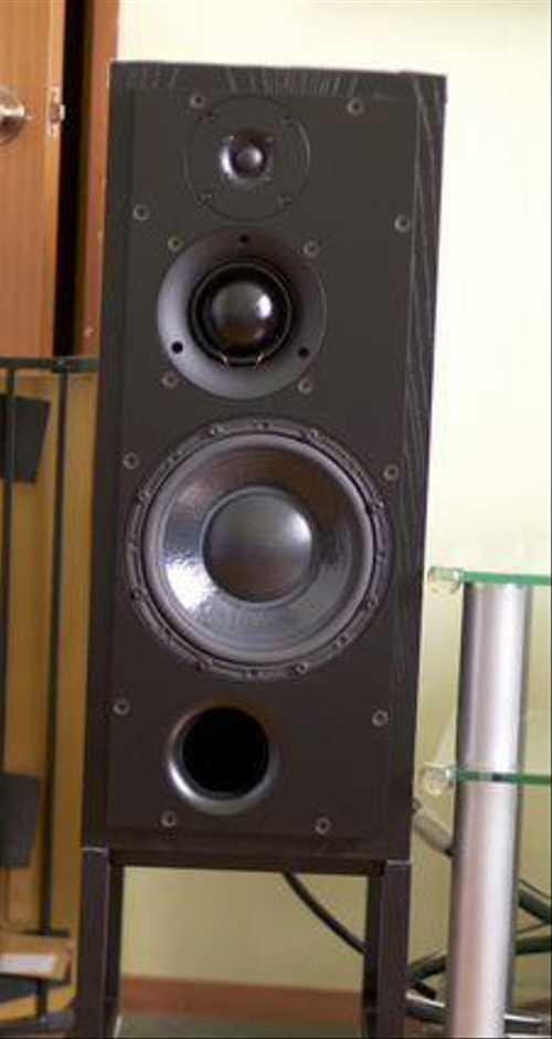 Atc Scm Psl Classic Hi End Festima Ru