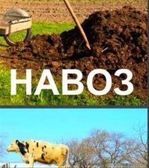 Конский навоз и чернозём