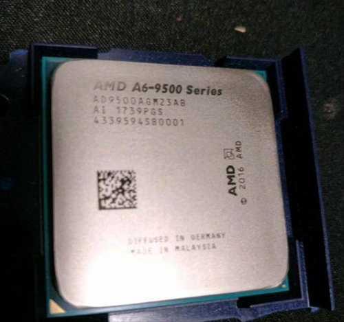 Amd a6 9500. Процессор AMD a6 9500 Tray. AMD a6 9500 материнская плата. AMD a6 профессор. 9500 6-02.