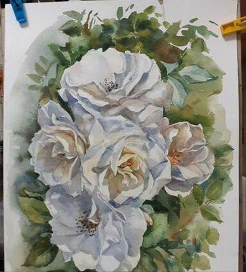 Картина акварелью "белые розы"