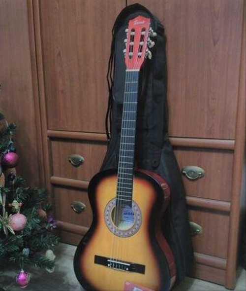 Terris TC-3801A SB - Гитара классическая и чехол+
