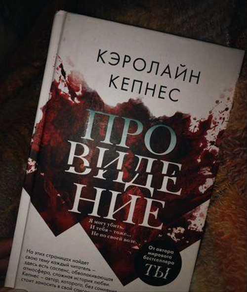 Книга Кэролайн Кепнес «Провидение»