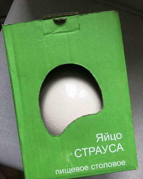 Яйцо страуса скорлупа