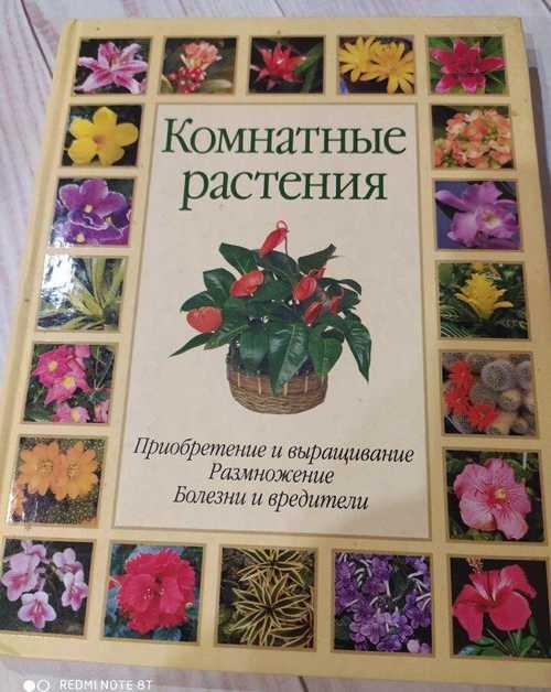 Комнатные растения. Книга