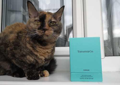 Tiffany & Co Intense