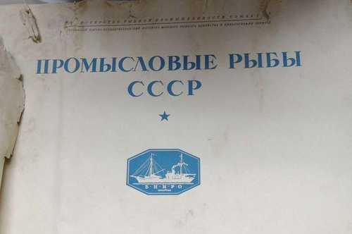 Промысловые рыбы СССР. изд. 1949г