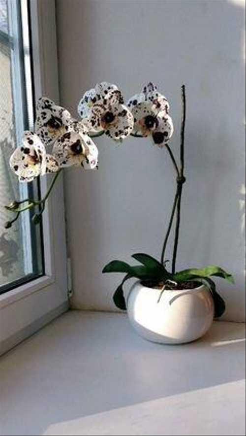 Орхидеи интерьерные. Ручная работа