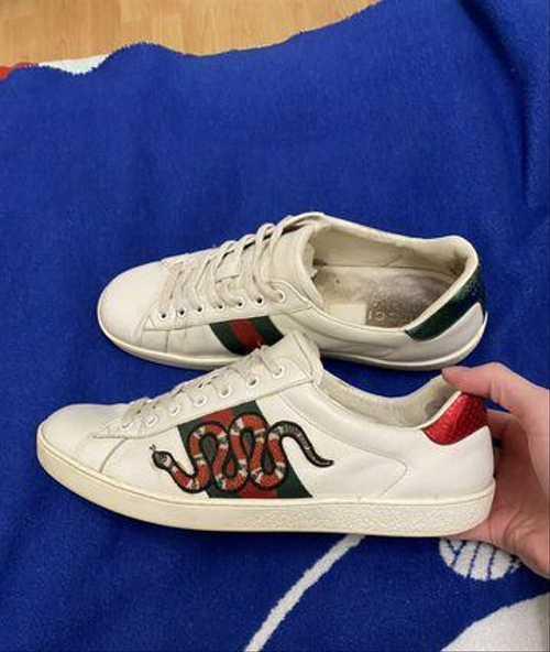 Gucci Ace snake