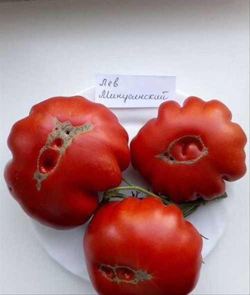 Семена красных томатов часть 2