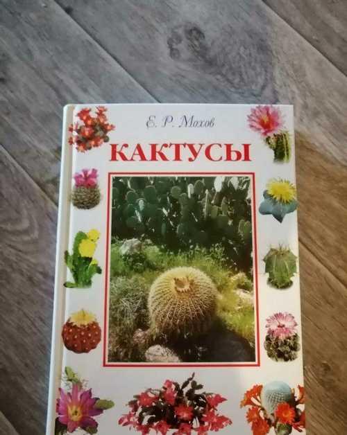 Кактусы