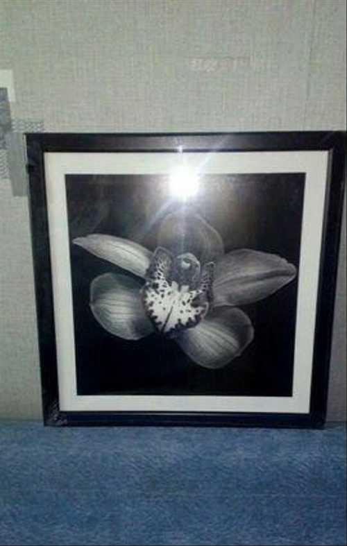 Картина "Орхидея" в упаковке (IKEA)