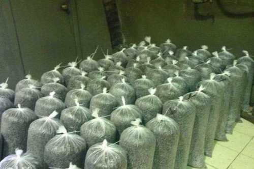 Продаю грибные блоки