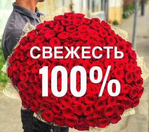 Розы 151 штука 70 см