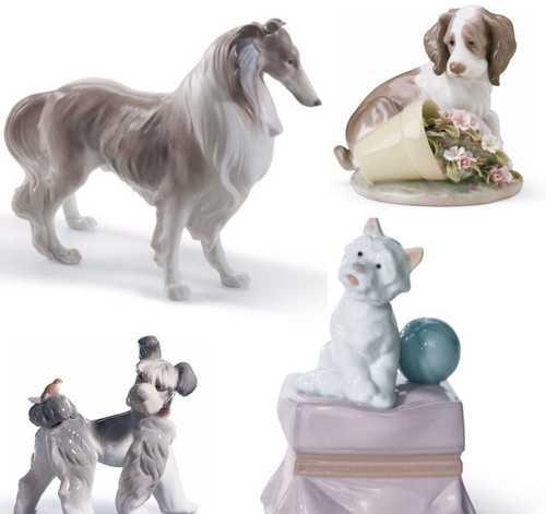 Собака Бигль Вестик Ши-Тцу Бассет Колли Lladro