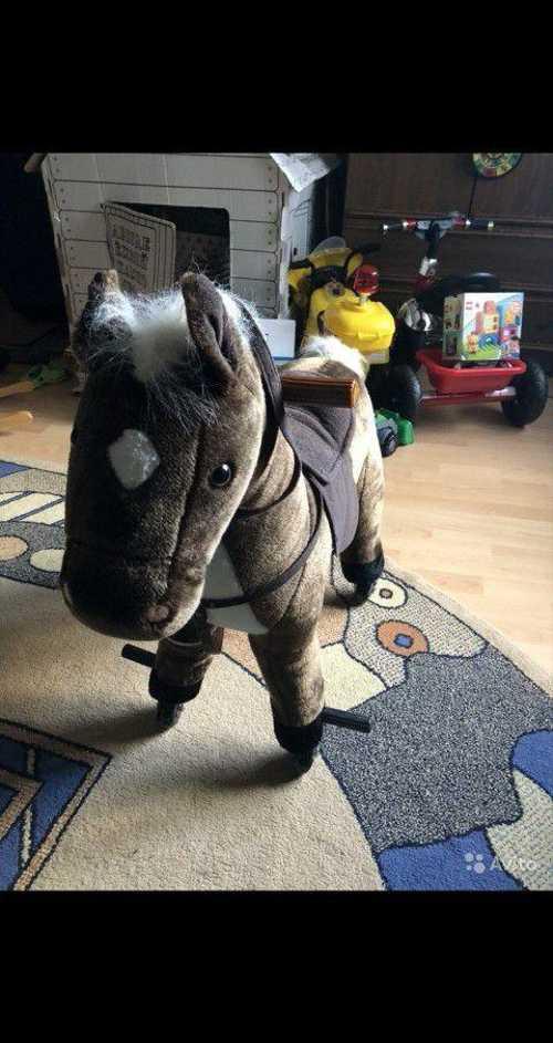 Поницикл
