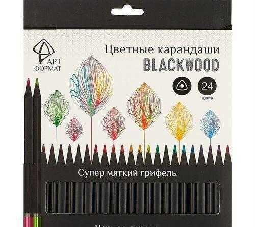 Карандаши цветные 24цв Blackwood супер мягкий гифе