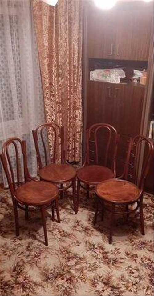Антикварные венские стулья