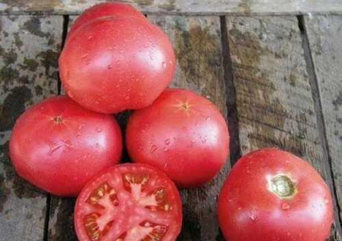 Семечки помидора "Тарпан" 5 шт