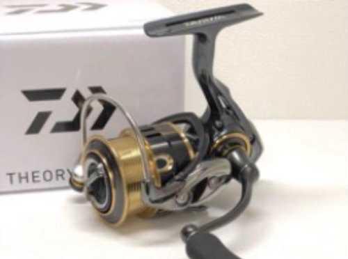 Daiwa 17 theory 2506