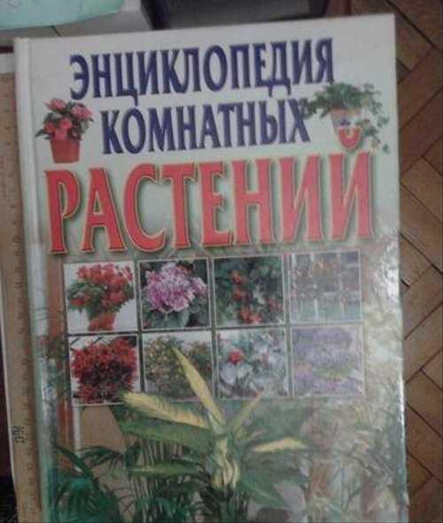 Энциклопедия комнатных растений