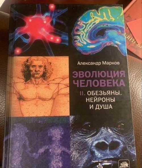 Эволюция человека том 2, Александр Марков