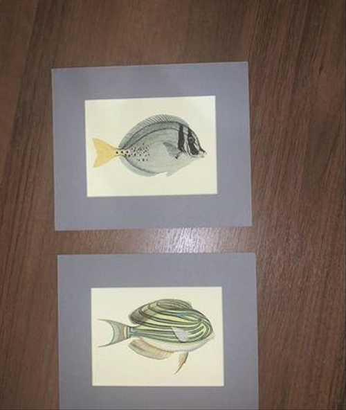 Парные акварельные картины Рыбки