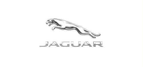 Эмблема Jaguar кошка + надпись на багажник (хром)