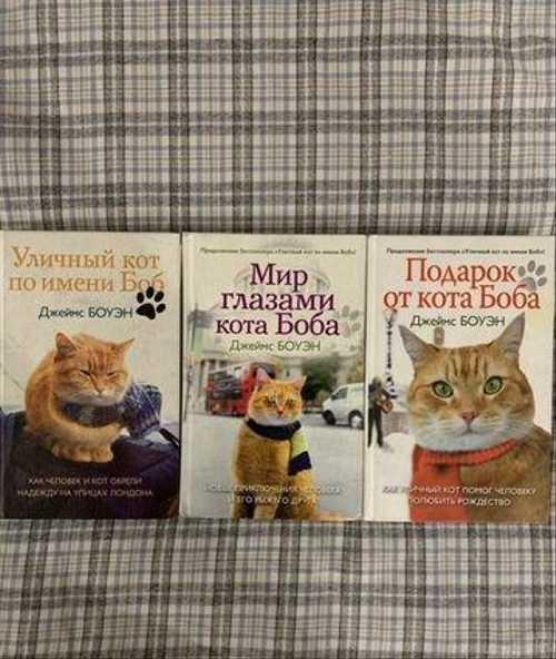 Книга глазами кота. Мир глазами кота Боба. Приключения кота Боба книга. Подарок от кота Боба. Мир глазами кота Боба книга.