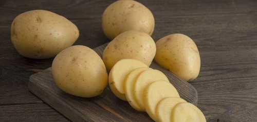 Семена картофеля Зекура