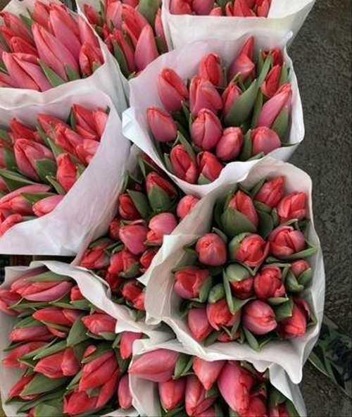 Высокие тюльпаны к 8 марта
