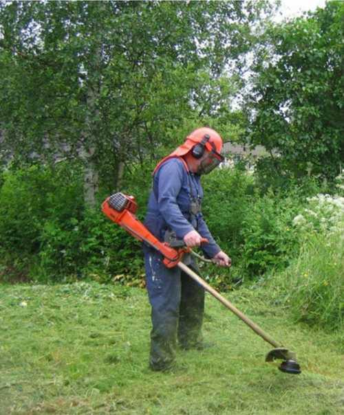 Покос травы спил деревьев
