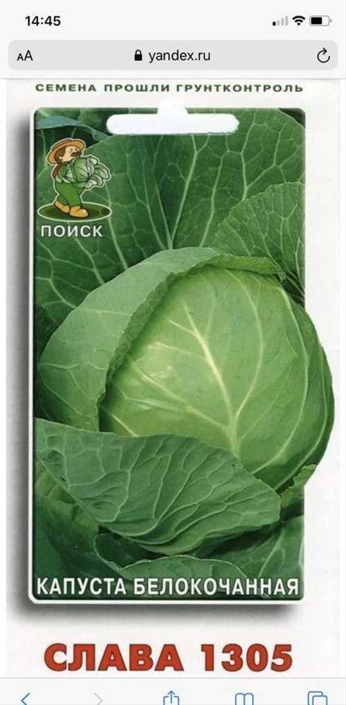 Капуста