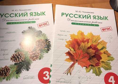 Русский язык 3,4 класс М. Ю. Полникова