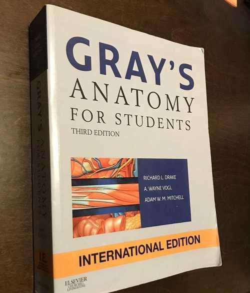 Анатомия по Грею. Gray's Anatomy International