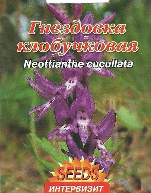 Гнездовка клобучковая семена в мини-тепличках 5 шт
