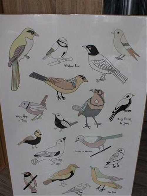 Постер с птицами 60*90см новый
