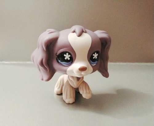 Littlest Pet Shop lps лпс петшоп кокер-спаниель купить б у Москва ...