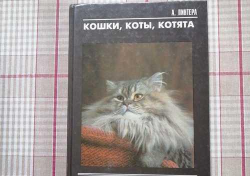 Кошки, коты, котята