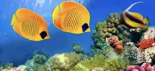 Купон на посещение океанариума до 29.06.2021