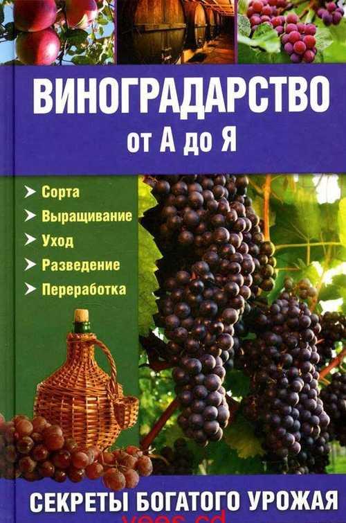 Книга Виноградство от А до Я. Виноград