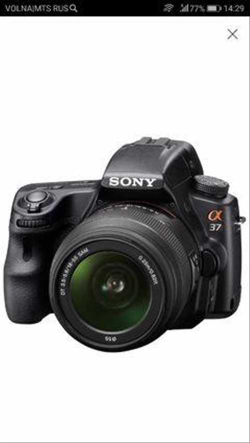 Фотоаппарат sony slt a37. Сони Альфа 37.