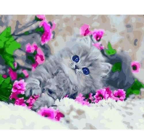 Картины по номерам Paintboy "Маленький котенок"