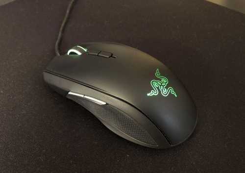 Razer Taipan
