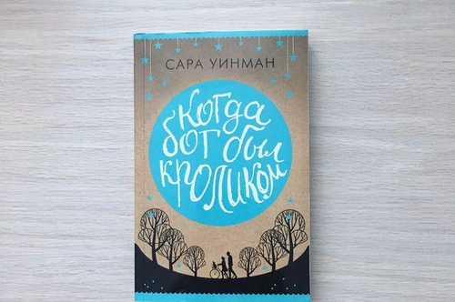 Книга «Когда бог был кроликом» Сара Уинман