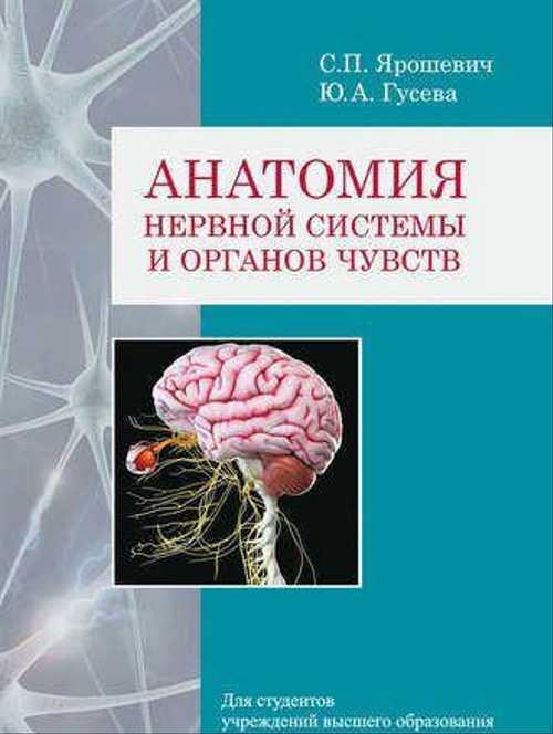 Анатомия нервной системы и органов чувств pdf