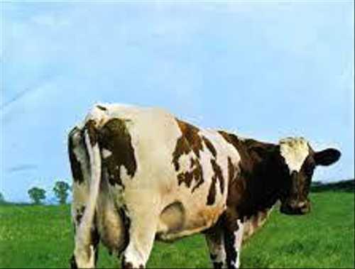 Pink Floyd Atom Heart Mother 1970 винил England