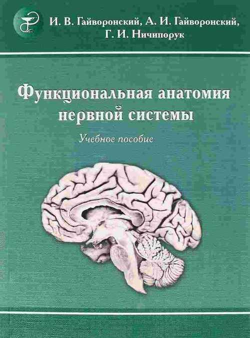 Функциональная анатомия нервной системы