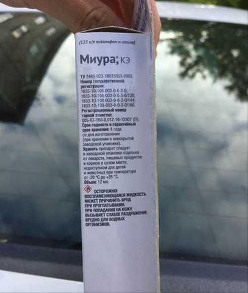 Миура Деймос