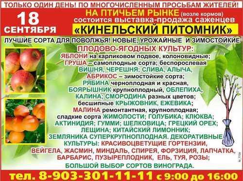 Выставка-продажа саженцев