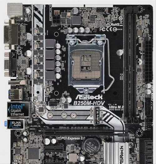 Материнская плата ASRock B250M-HDV